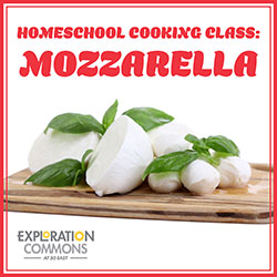 Homeschool Cooking Class: Mozzarella | Carroll County Public Library
