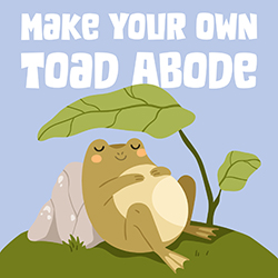Make Your Own Toad Abode | Carroll County Public Library