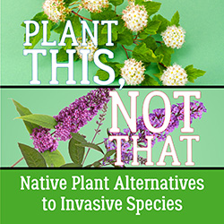 Plant This, Not That: Native Plant Alternatives to Invasive Species ...